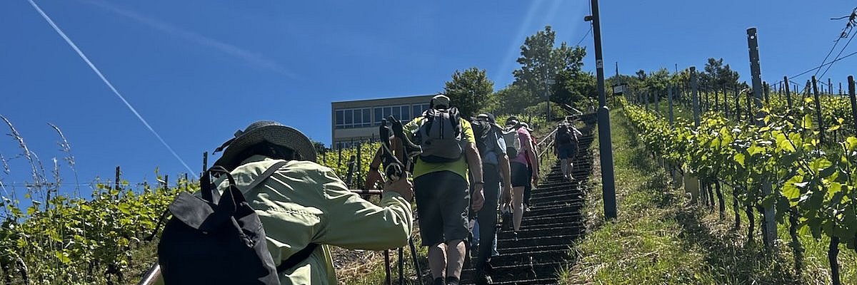 Pfarrei St. Peter und Paul Wiesbaden: Ökumenischer Pilgertag 2026